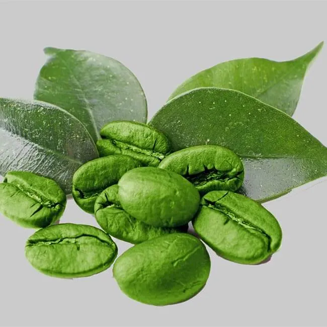 Le Café Vert, le plus bénéfique de tous les cafés ? | WeightWorld