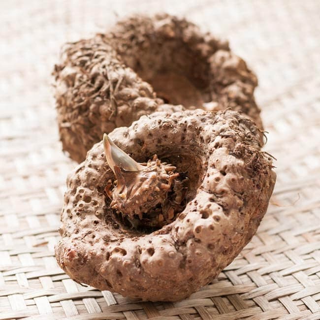 Quels sont les effets indésirables du konjac ? | WeightWorld