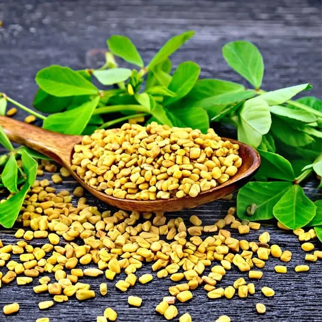 Comment Utiliser le Fenugrec pour Grossir ? | WeightWorld