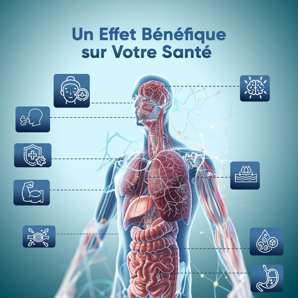 Pro Bio Cultures Complex - Soutien au bien-être intestinal